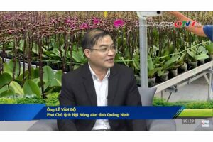 Trà hoa vàng Quy Hoa và ông Lê Mạnh Quy tại tọa đàm “Xây dựng những nông dân số” ngày 26/02/2023 ...